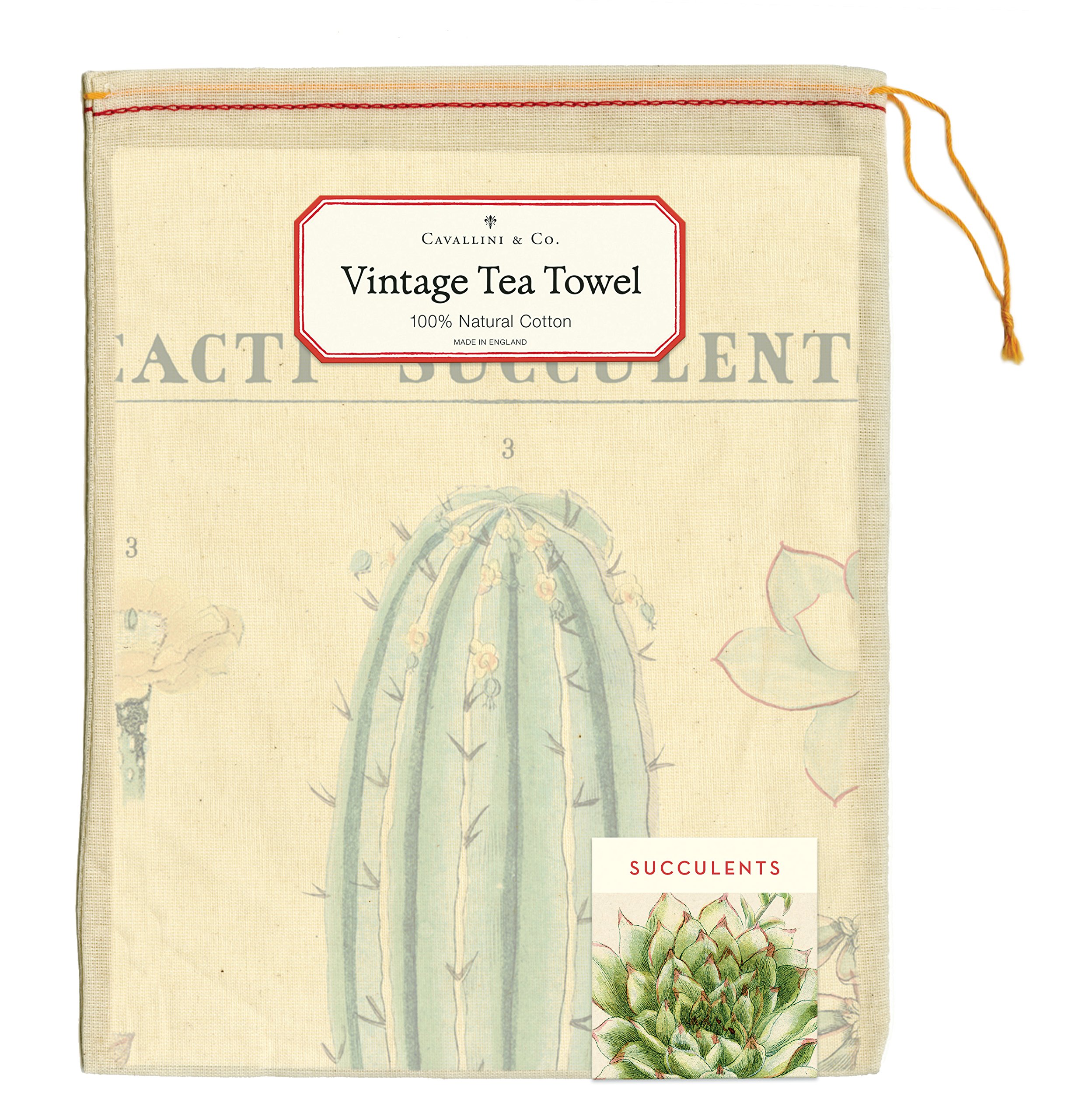 Cavallini Papers & Co Cavallini Vintage Succulents Cotton Tea Towel