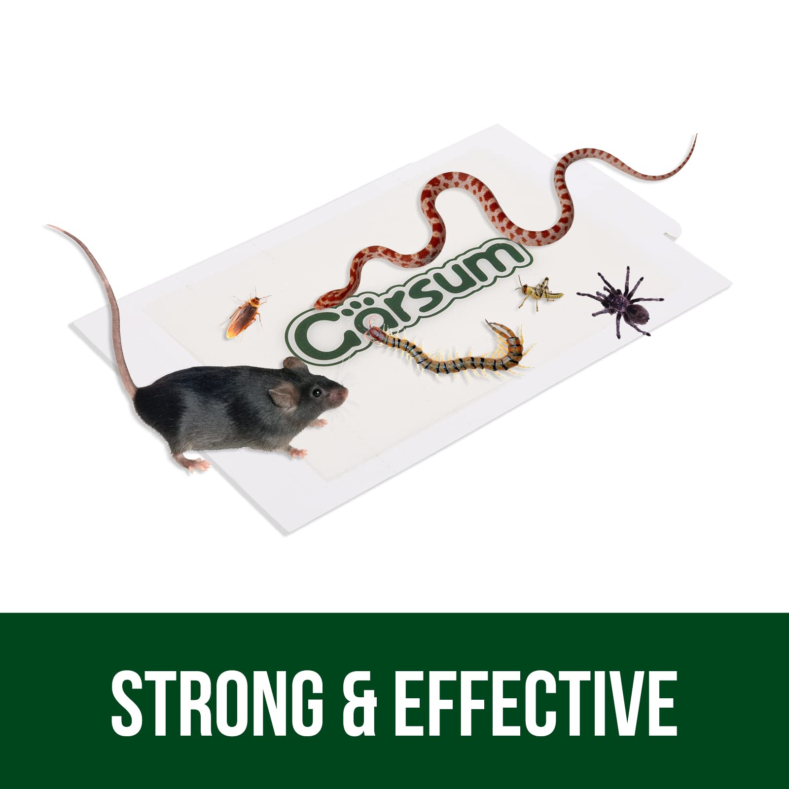 Garsum 10 Pack Mouse Glue Trap, Peanut Butter Scent Sticky Traps, Heavy Duty Pest Board Insect Spider Mice, Extra Strength Trampas para Ratones Indoor for Home