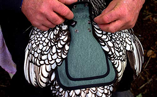 DOWN UNDER OUTDOORS Premium Chicken Saddle, Adjustable Straps to Suit Medium and Large Hens, Poultry Saver, Protector, Apron, Supplies, Products and Equipment, Including Shoulder Cover (Green)