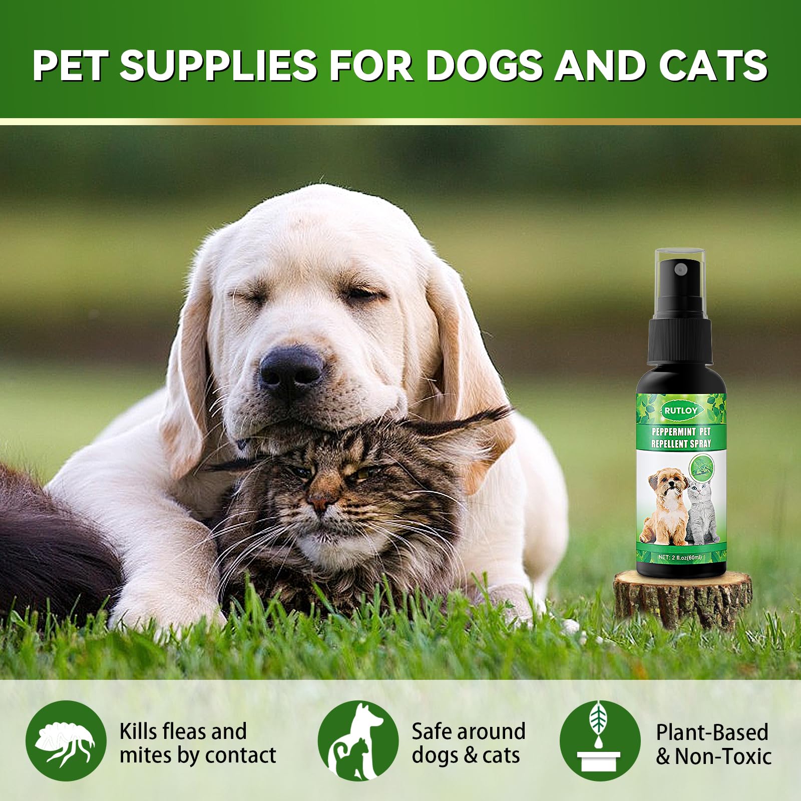 Flea and Mite Home Spray for Cats and Dogs, Essential flea and mite Treatment, Protects Your Home from Fleas and eliminates pet odours, Botanical Formula, for Indoor and Outdoor use (2oz)