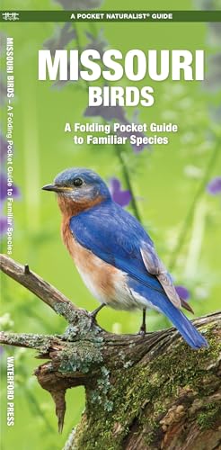 Missouri Birds: A Folding Pocket Guide to Familiar Species (Nature Observation North America)