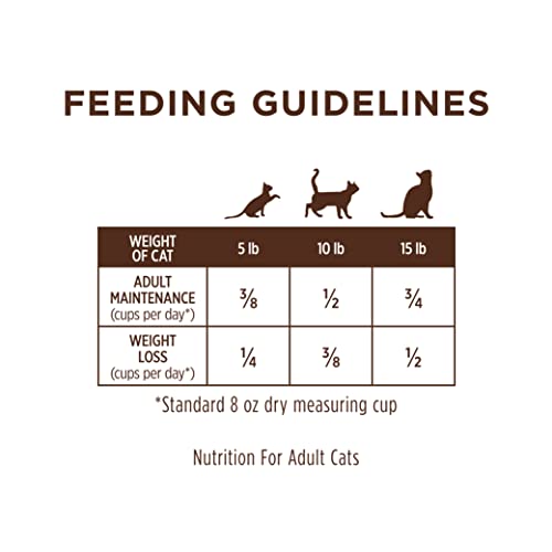 Instinct Limited Ingredient Diet Grain Free Recipe with Real Rabbit Natural Dry Cat Food, 4.5 lb. Bag