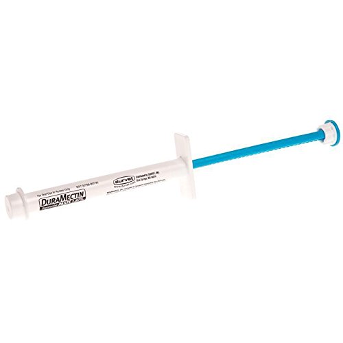 Durvet DuraMectin Ivermectin Paste 1.87% Horse Wormer 1 Tube (for Horses only) & Duramectin Ivermectin Paste 1.87% for Horses, 0.21 oz