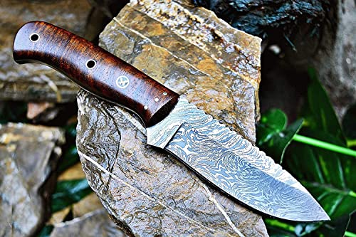 BIGCAT ROAR Handmade Damascus Hunting Knife - Bushcraft Fixed Blade Hunting Knife with Sheath and Walnut Wood Handle - 9″ EDC Skinning Knife - Little Champ