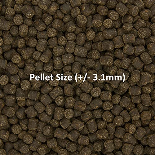 Ocean Nutrition Cichlid Vegi Pellets 7-Ounces (200 Grams) Jar - Medium Pellet Size