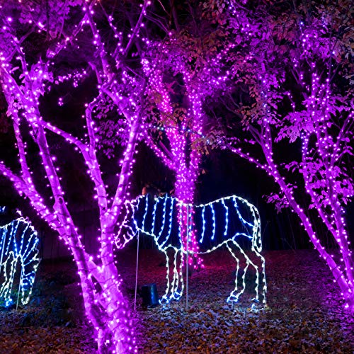 Solar String Lights Outdoor Waterproof 8 Modes 200 LED 72ft Solar Fairy Lights Outdoor for Patio Garden Fence Path Holiday Party Halloween St. Patrick's Day Christmas Decorations (Purple-2 Pack)