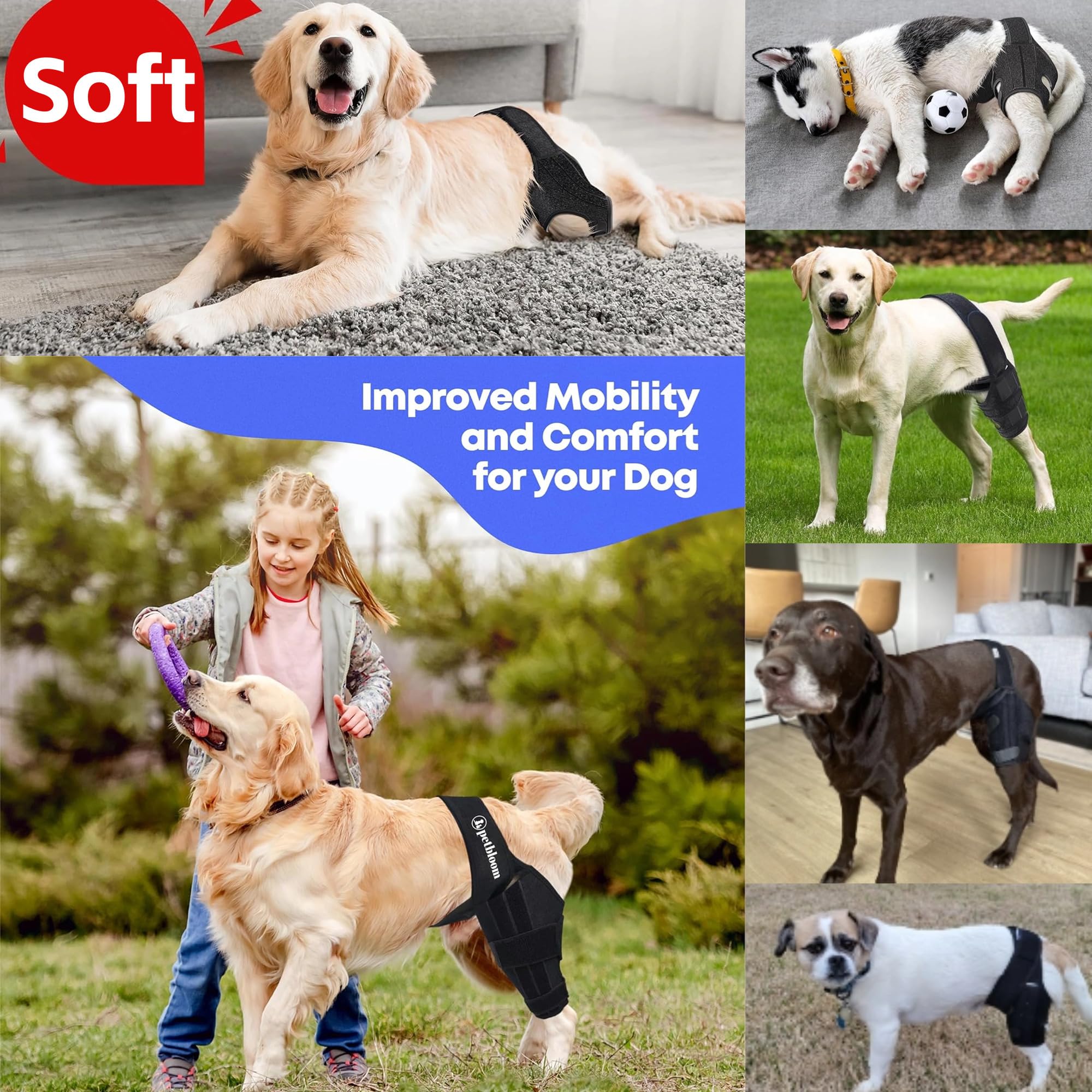 dreamynini Dog Knee Brace for Torn Acl Hind Leg, Dog Hip Support Brace for Cruciate Ligament Injury, Hip Dysplasia, Better Recovery with Adjustable Dog Leg Braces for Back Leg or Front Leg - Medium