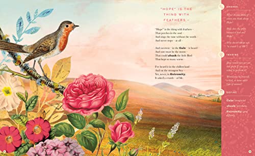 The Illustrated Emily Dickinson: 25 Essential Poems (The Illustrated Poets Collection, 1)