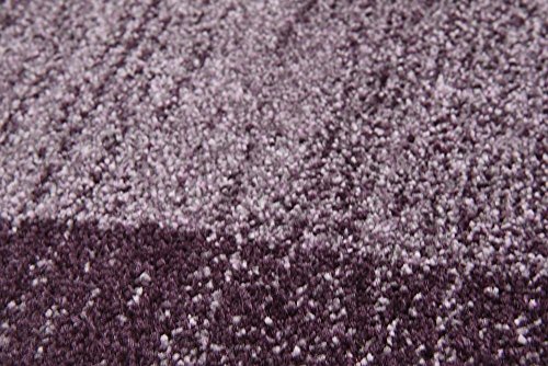 Unique Loom Del Mar Collection Area Rug - Sarah (3' 3" x 5' 3" Rectangle, Violet/ Purple)