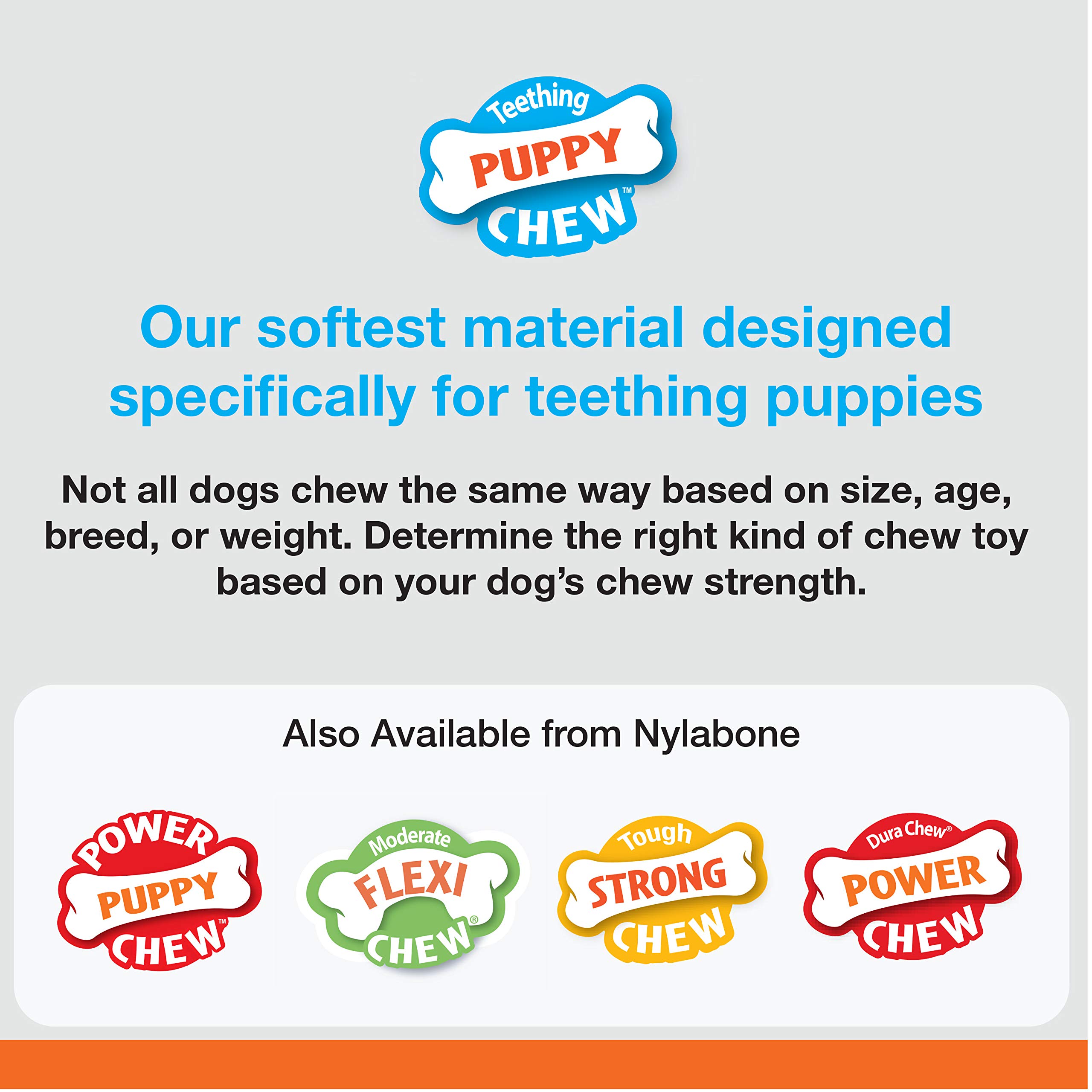 Nylabone Puppy Chew Keys Toy - Puppy Chew Toys for Teething - Puppy Supplies - Bacon Flavor, X-Small/Petite (1 Count)
