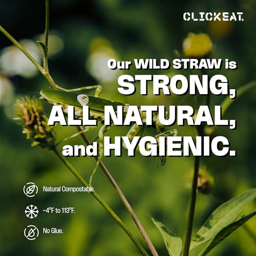 Clickeat Biodegradable Straws 100% Natural, Compostable, Disposable - 210 PCS, Eco-Friendly, Ideal for Restaurants, Coffee Stirring, Made with Rye Stalks - Sustainable Choice for Your Beverages