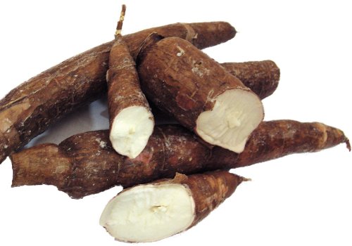 Cassava Twins 1 Month Supply Organic Cassava Root - Fertility Supplement for Twins - Vitamin for a Natural Pregnancy