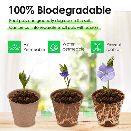NuCandle 3β Peat Pots Seedling Pots Plant Starters Bulk 100 Pack Seed Starter Pots Biodegradable Plant Cups with Labels, Mini Seedling Tools for Garden Germination Nursery Pot