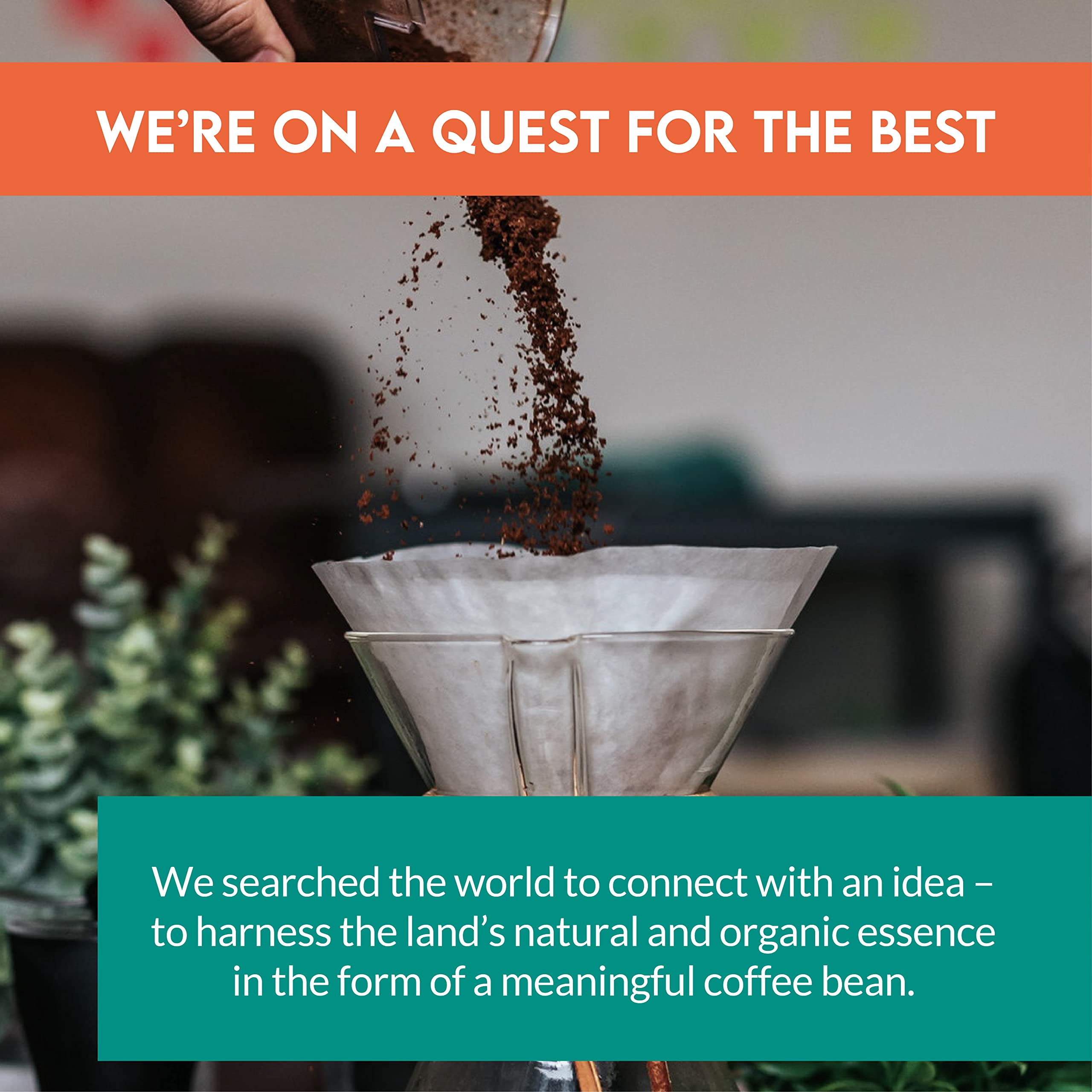 Clean Coffee Co. | Low Acid Coffee, 12oz Bag Ground Coffee | Medium Roast from Papua New Guinea | Toxin and Mold Free, Antioxidant Rich, Smooth Taste for Espresso, French Press, or Iced Coffee