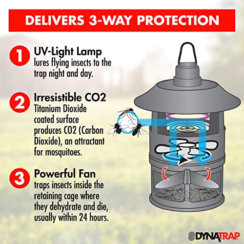 DynaTrap DT160SR Mosquito & Flying Insect Trap β Kills Mosquitoes, Flies, Wasps, Gnats, & Other Flying Insects β Protects up to 1/4 Acre
