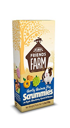 Supreme Gerty Scrummies Apple Strawberry Healthy Baked Bites For Guinea Pig 4.2Z