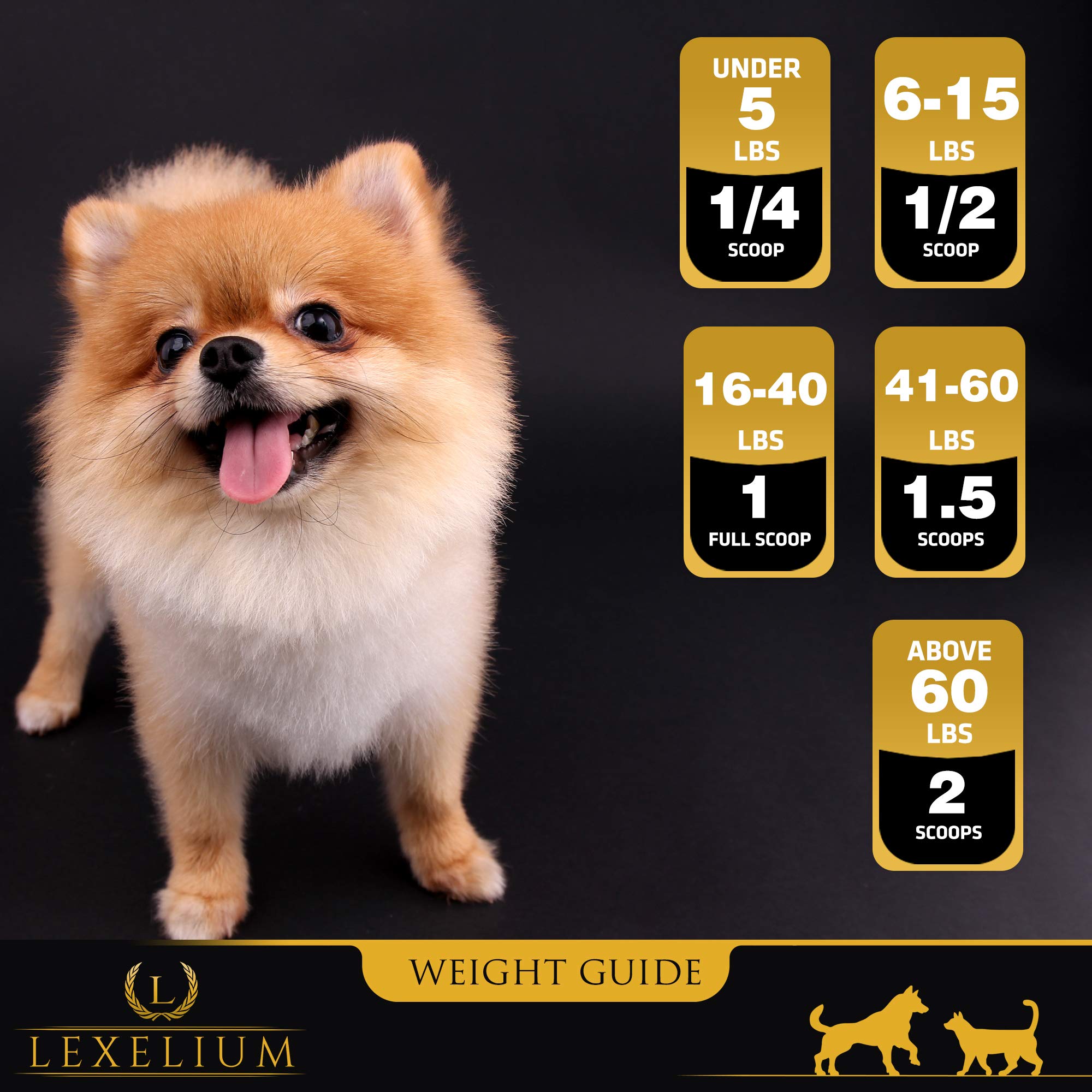 Lexelium Life-Optim Terminal Illness Support Blend for Dogs and Cats | 100% Natural Supplement Powder | Designed to Extend and Improve Quality of Life | 200 Gram Powder Bag
