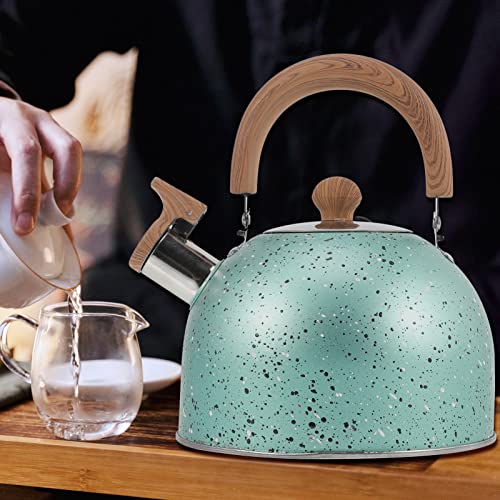 Hemoton Stovetop Tea Kettle Stainless Steel Whistling Teapot Water Kettle Stove Coffee Kettle with Cool Grip Ergonomic Handle for Boiling Water 2L Green
