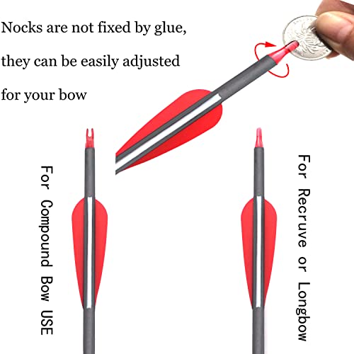 COLORFUL EAGLE 28/30/31 Inches Spine 300/400 Pure Carbon Arrows with Red and White Color for Recurve/Compound Bows Archery Hunting (Pack of 12) (Spine 400, 28 Inches)