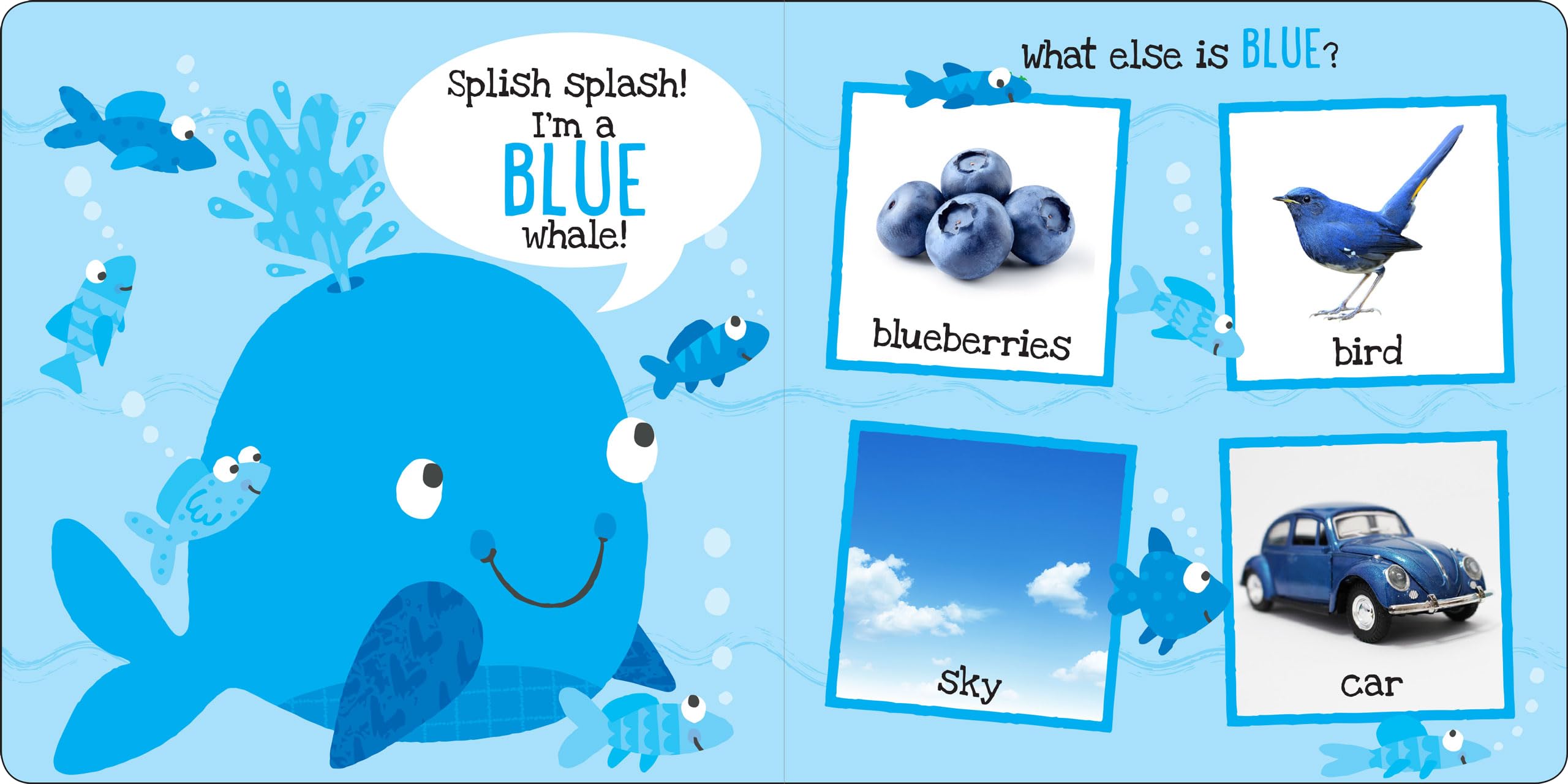 My First COLORS Padded Board Book