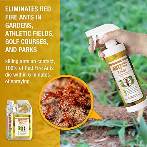 EcoVenger by EcoRaider Ant Killer & Crawling Insect Killer (Citrus Scent) 16oz, Kills Fast, Also Kills Spiders, Centipedes & More, Repels with Residual, Natural & Non-Toxic, Children & Pets Safe