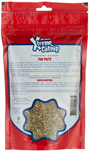 Xtreme Catnip Leaf, 1 oz. β 100% Natural Organically Grown, Super Concentrated Catnip Leaves β Non-Addictive, Fun Cat Treat β Use on Toys, Scratching Posts, Food and More