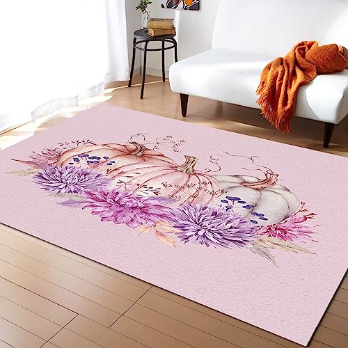 Rugs for Bedroom Living Room Office Kitchen, Fall Thanksgiving Pink Pumpkin Watercolor Flower Plaid Soft Carpet Washable Area Rugs, Indoor 2x3 Feet Floor Rug for Home Decor Aesthetic