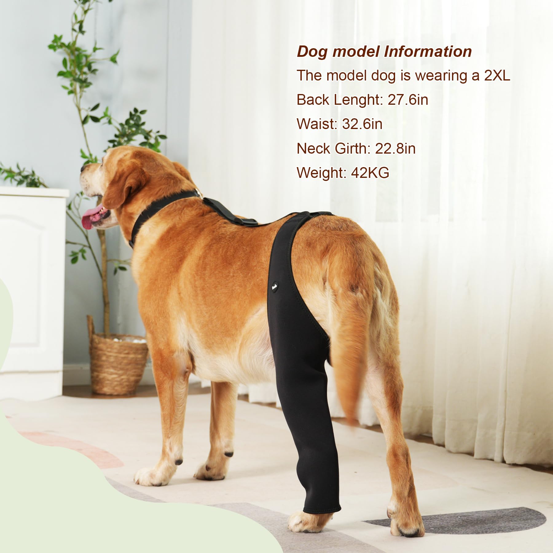 Dog Recovery Sleeve Back Leg Waterproof Diving Material,Dog Leg Sleeve to Stop Licking and Biting Firm and Secure, Adjustable Size, 2.5mm Thick Comfortable Alternative to Cone Collars (2XLarge)