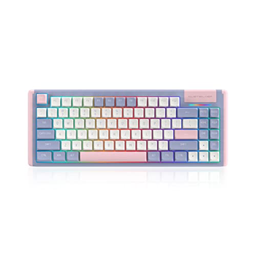 DUSTSILVER K84 Hot-Swappable Wired 75% Kawaii Mechanical Keyboard with Detachable Type-C, RGB Backlit, PBT Keycaps, Gateron Red Switches for Smooth Typing Office Work
