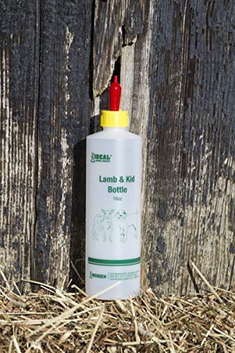 IDEAL 7004 Lamb & Kid Bottle 16oz w/Red Screw-On Teat