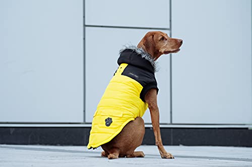 Canada Pooch True North Parka - Yellow - Size 10, 10 (9-11" Back Length)