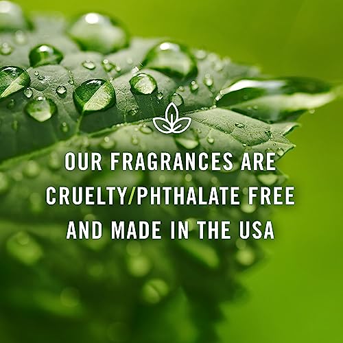 P&J Fragrance Oil | Oregano Oil 100ml - Candle Scents for Candle Making, Freshie Scents, Soap Making Supplies, Diffuser Oil Scents