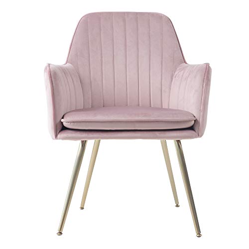 ceedment Modern Living Dining Room Accent Arm Chairs Club Guest with Gold Metal Legs (2, Pink)