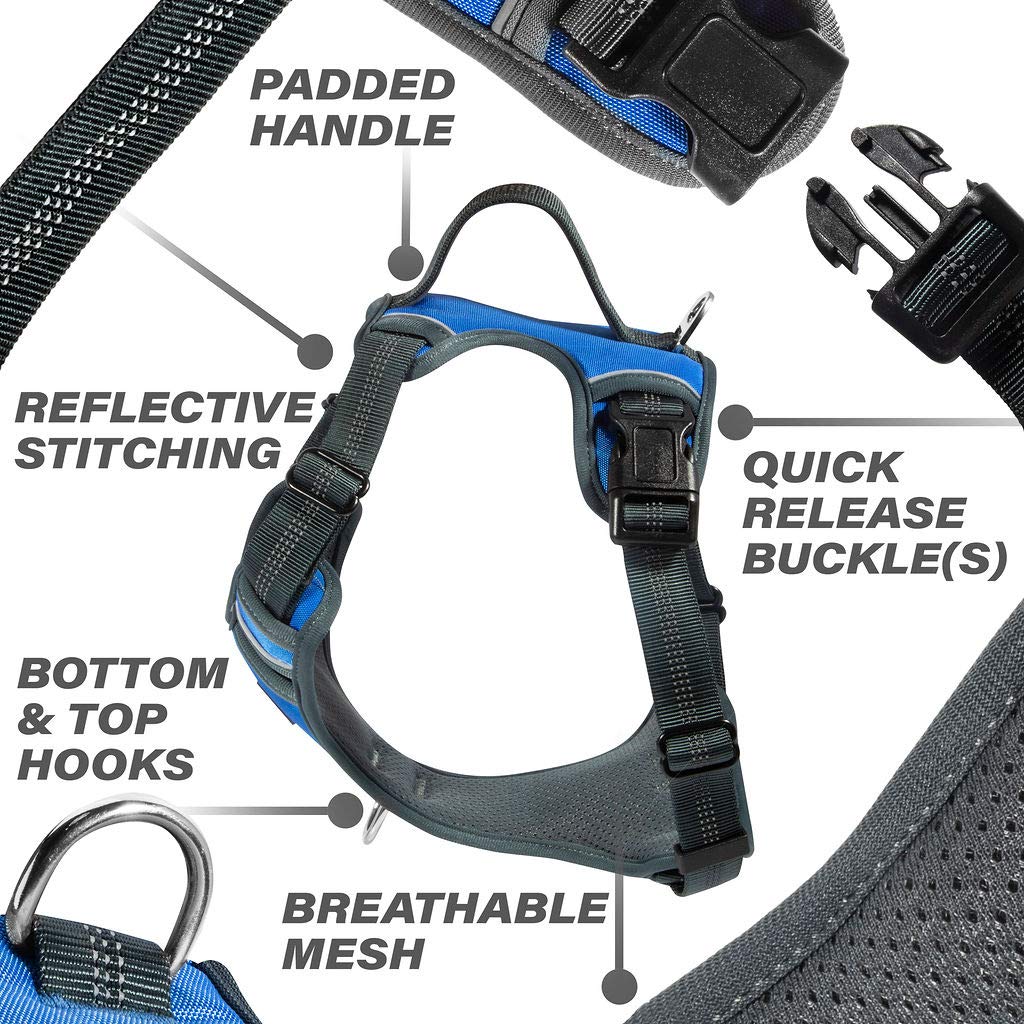 Black Rhino - The Comfort Dog Harness with Mesh Padded Vest for Small - Large Breeds | Adjustable | Reflective | 2 Leash Attachments on Chest & Back - Neoprene Padded Training Handle (Large, Aqua/Gr)