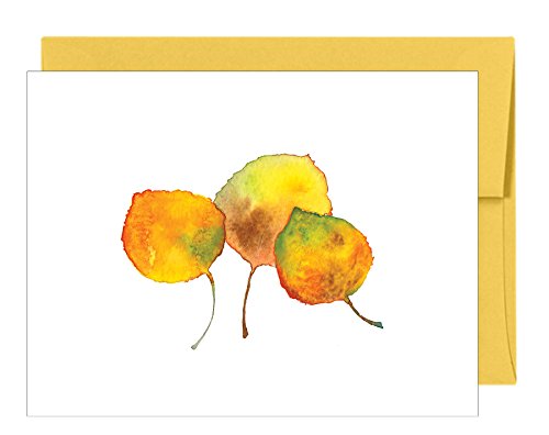 Peaks Publishing Inc Aspen Treasure Note Cards Thank You Cards All Occasion Greeting Cards Stationery - Boxed Set of 20 Cards and Matching Envelopes