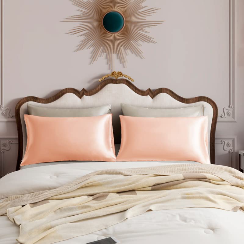 HeavySleepers Pillowcases Queen Size Set of 2,Silk Pillowcase for Hair and Skin,Pillowcase 2 Pack 20x30 inches, Slip Satin Pillowcase with Envelope Closure