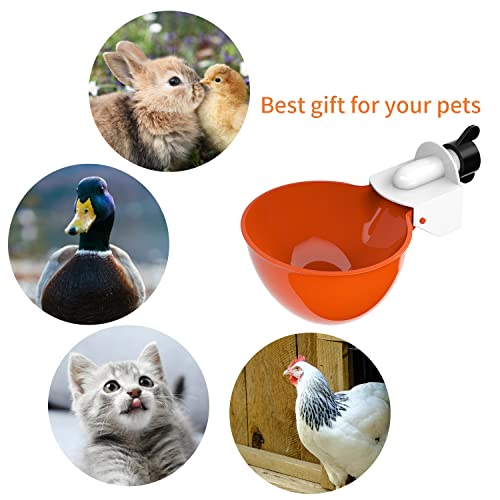 sansheng Large Automatic Chicken Waterer Cups,Thread Automatic Filling Poultry Water Cups with Drill Bit,Automatic Poultry Waterer for DIY Poultry Quail Duck Chicken Bird Drinker(5 Pack)