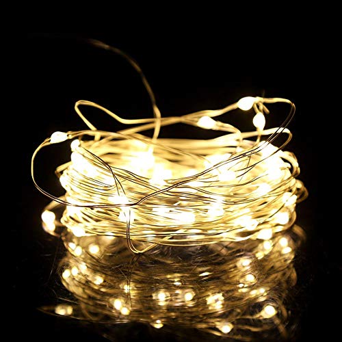 Vensans 50 LED Fairy String Light, LED String Light for Bedroom Lawn Landscape Garden Home Christmas Holiday Decor (Warm White)