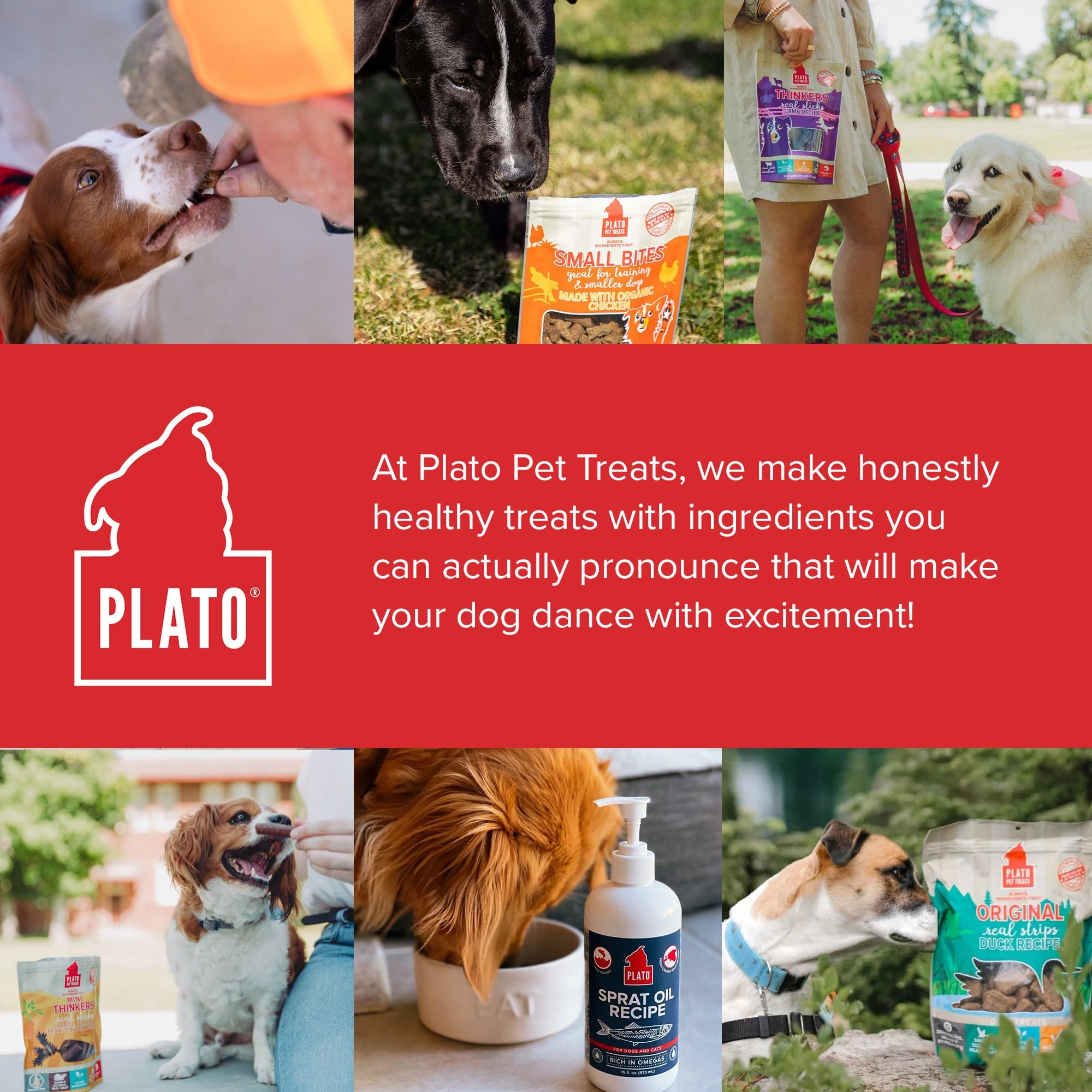 PLATO Turkey Real Strips Natural Dog Treats - Real Meat - Air Dried - Made in the USA - Turkey & Pumpkin, 3 ounces
