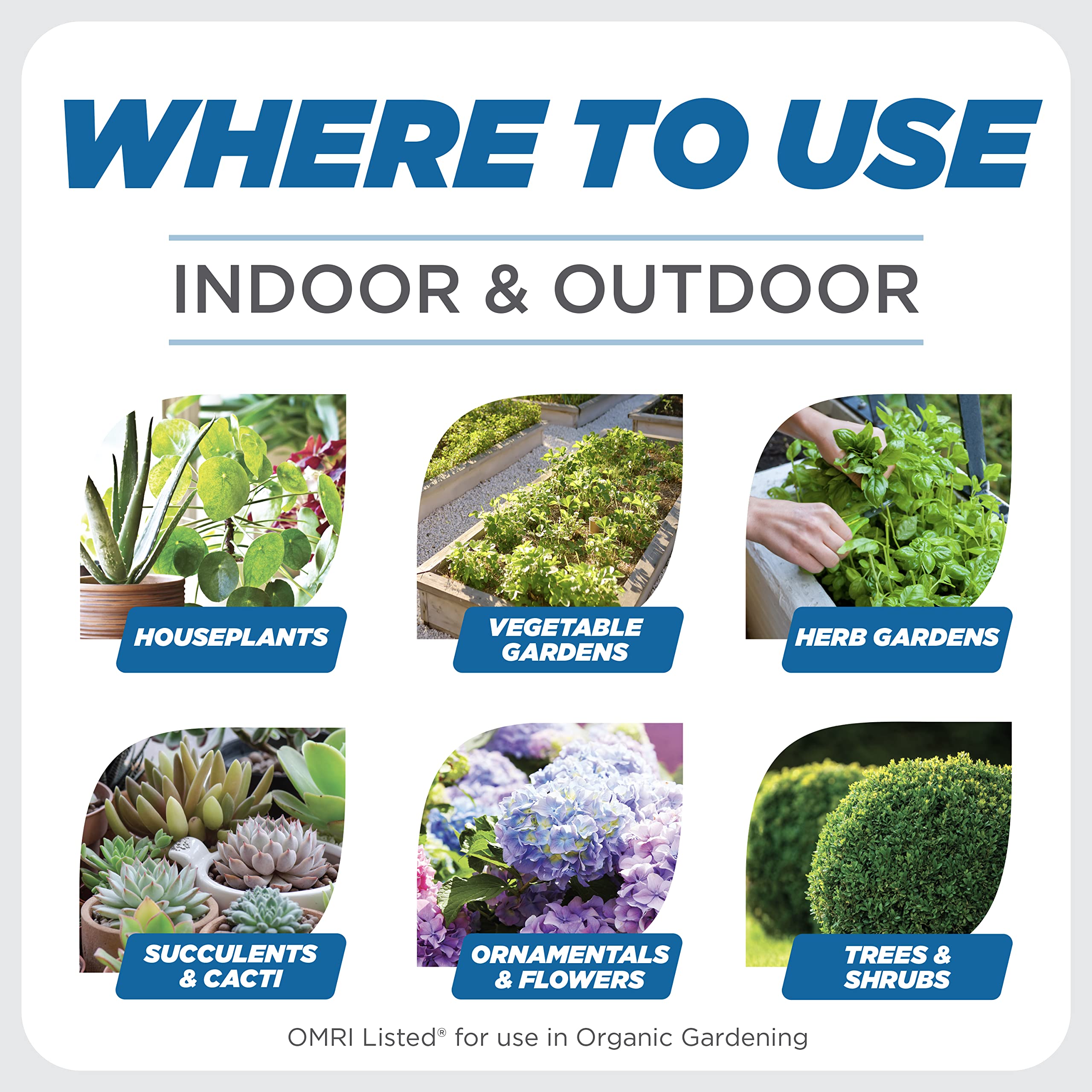 Earth's Ally Insect Control for Plants | Safe Outdoor & Indoor Plant Insecticide, Spider Mite, Aphid & Mealybug Killer - Effective Spray for Organic Garden & Household Plants, Ready-to-Use, 24oz
