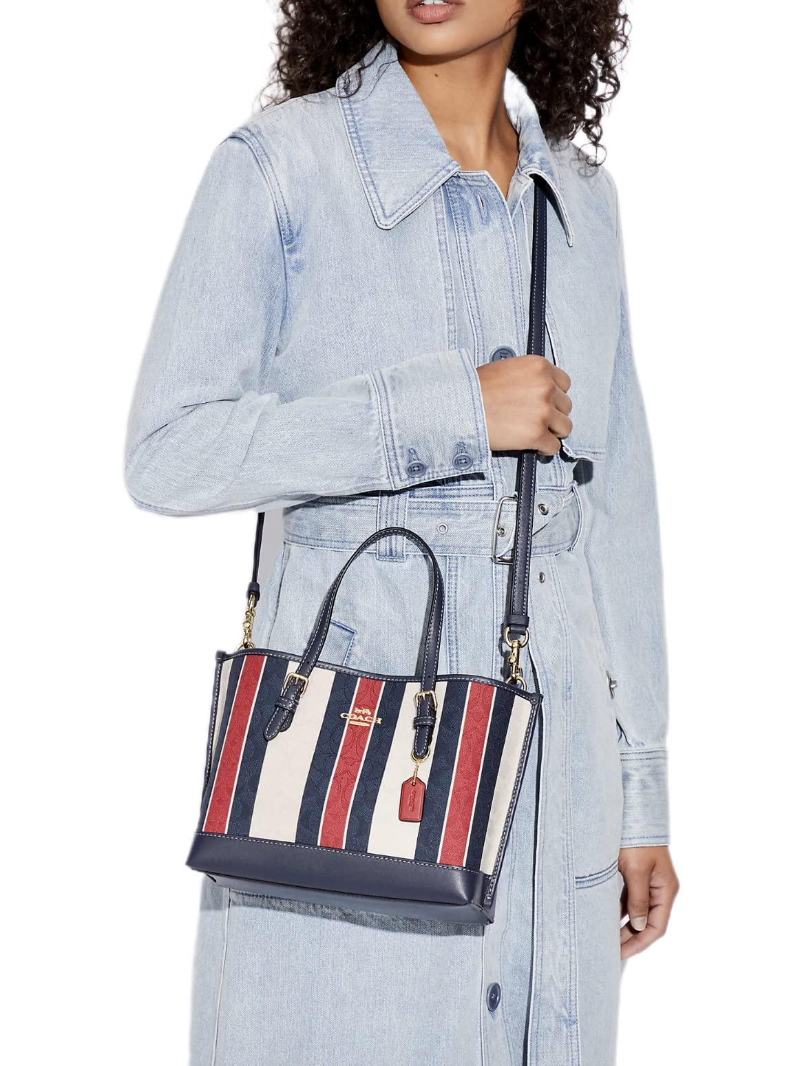 COACH Womens Mollie Tote 25 (IM/Chalk Multi)