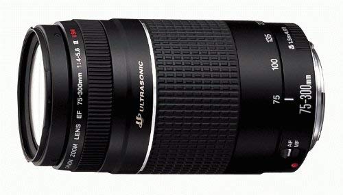 Canon EF 75-300mm f/4-5.6 III Lens Bundled with Lens Hood + Lens Pouch + 58mm UV Filter + Lens Cap Keeper + Microfiber Cleaning Cloth (6 Items)