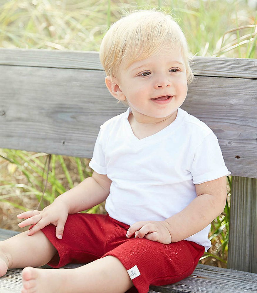 Burt's Bees Baby Boys 100% Organic Cotton V-Neck T-Shirt, Heather Grey, 12 Months