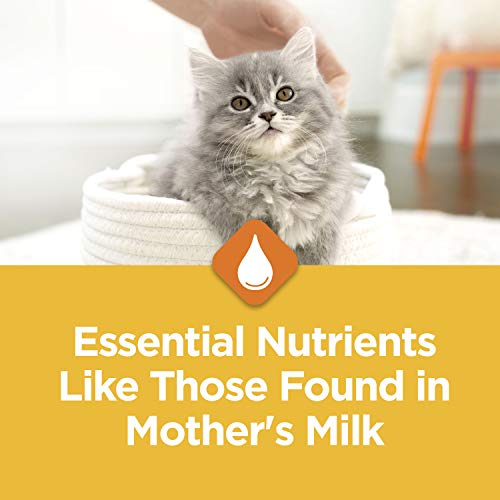 Purina Kitten Chow Dry Kitten Food, Nurture Muscle + Brain Development - 14 lb. Bag