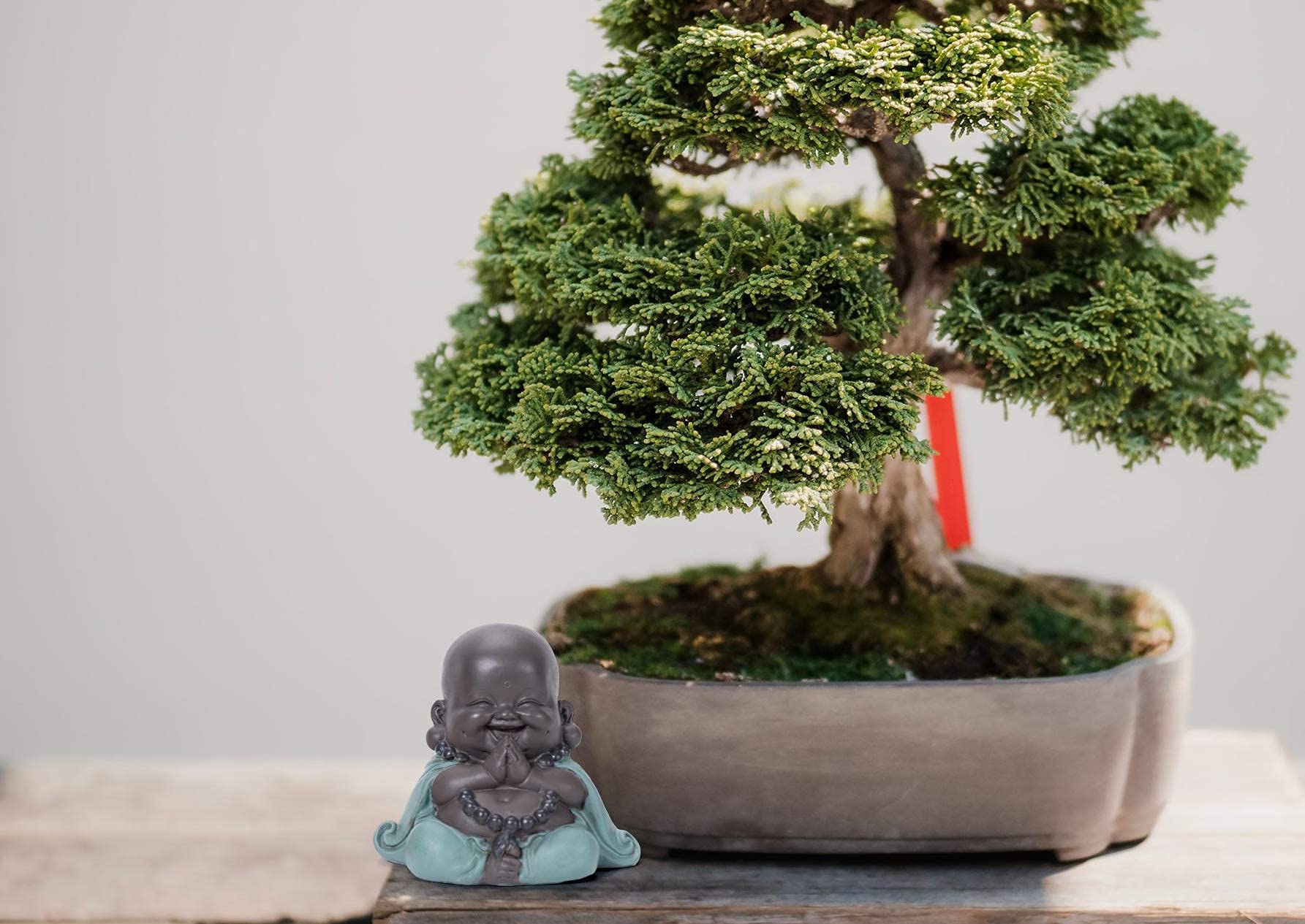WGFKVAS Buddha Statue, Laughing Ceramic Buda Statue Little Monk Figurine Cute Baby Buddha for Home Office Car Decors Gift Crafts and Arts (Green)