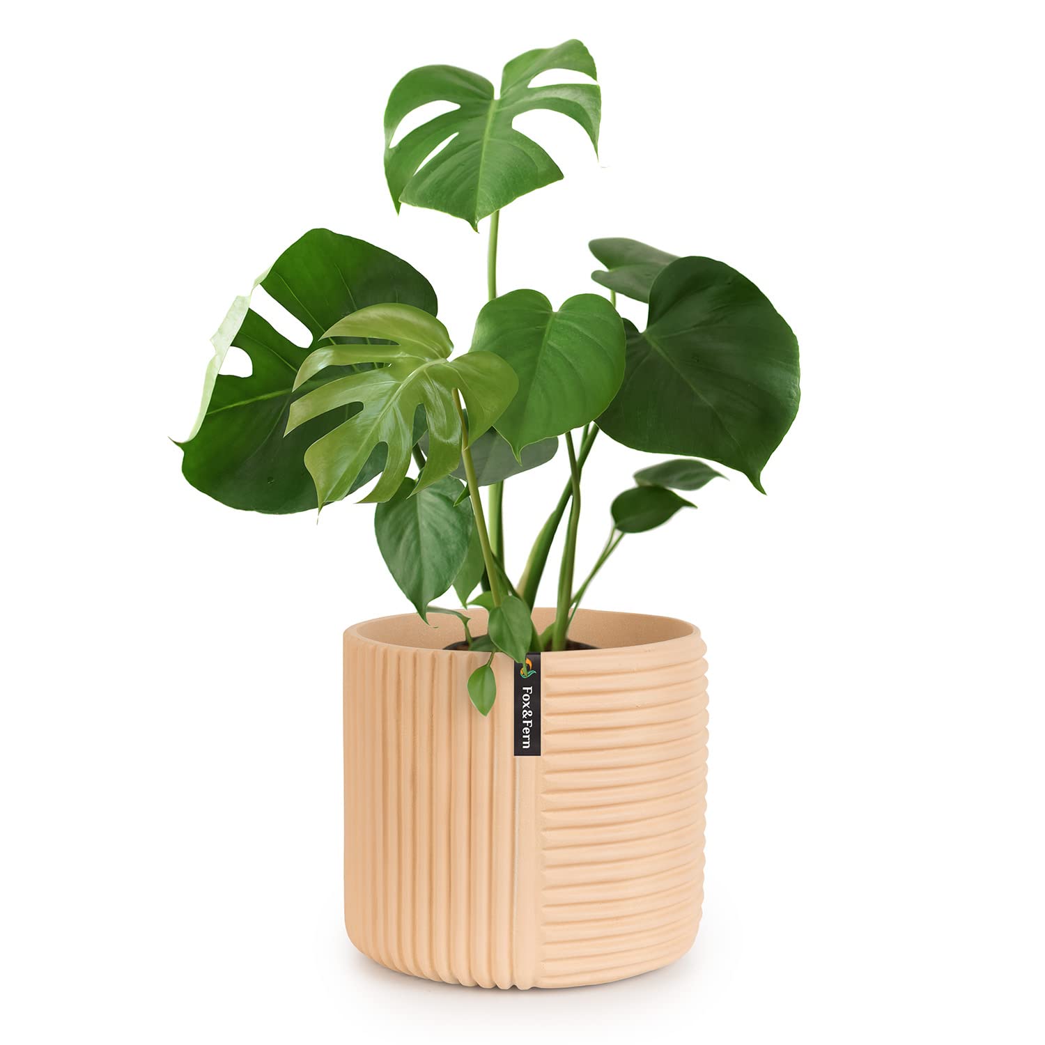 Fox & Fern Flower Pot, 12 Inch Plant Pots Indoor, 12 Inch Planters for Indoor Plants, 12 Inch Pots for Plants - 3D Line Texture - Polystone - Including Drainage Plug – Sand Finish - 12 Inch Planter