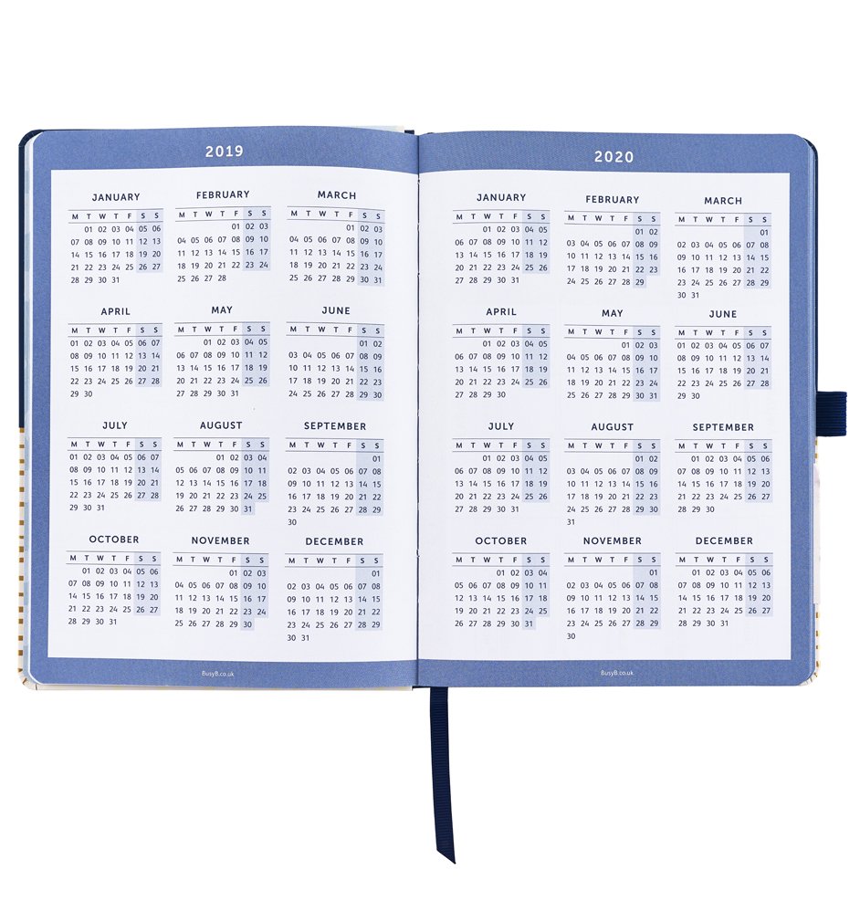 Busy B A5 2019 Stripe Design Busy Life Week to View Diary with Pockets and Dual Schedules