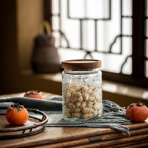 HolaJia Glass Jar with Lid β 24 oz Glass Storage Containers β Premium Jars with Airtight Lids for Coffee, Rice, Sugar β Decorative Cookie Jars for Kitchen Counter, Pantry(Fireworks)