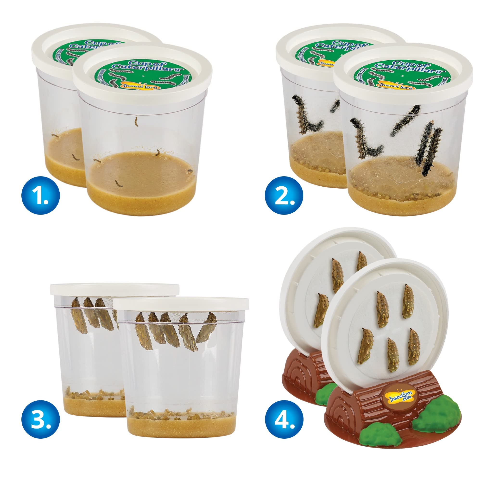 Butterfly Garden: Home School Habitat and Two Live Cups of Caterpillars - with Deluxe Butterfly Feeder - Includes Both English and Spanish Butterfly STEM Activity Journals