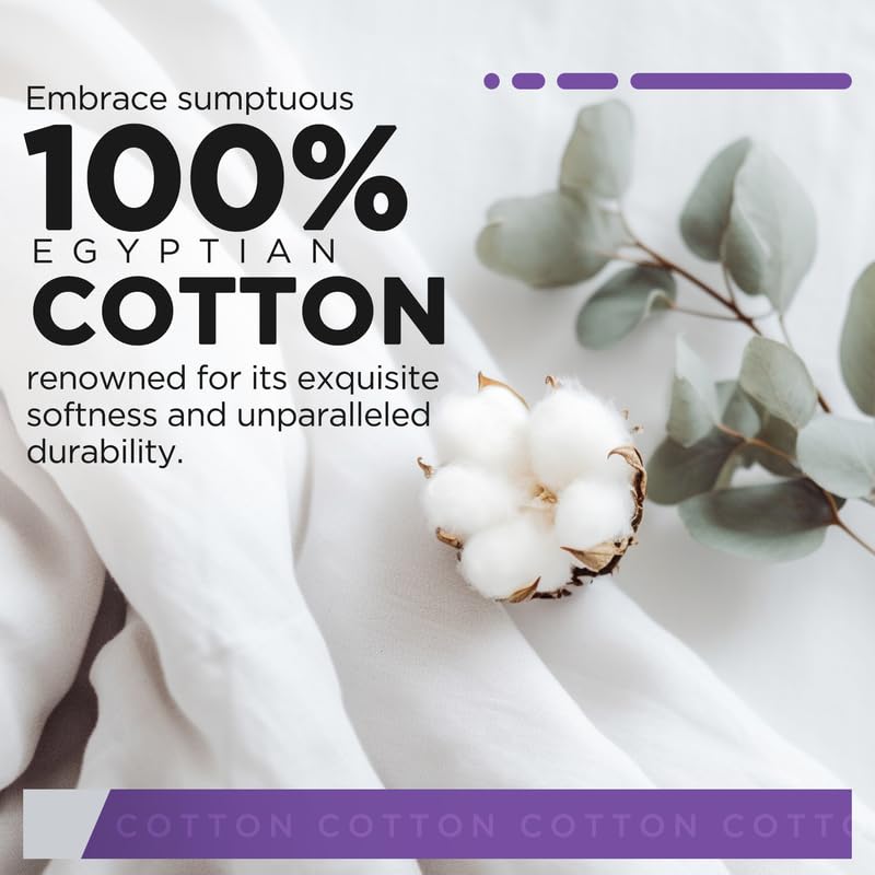 CharlottelyHues 100% Egyptian Cotton Queen Size Sheet Set - 1000 Thread Count 4 Piece Bed Sheets Long Staple Cotton Sheets, Sateen Weave, luxury Hotel Sheets, Fits Upto 18" Deep Pocket - Bright White